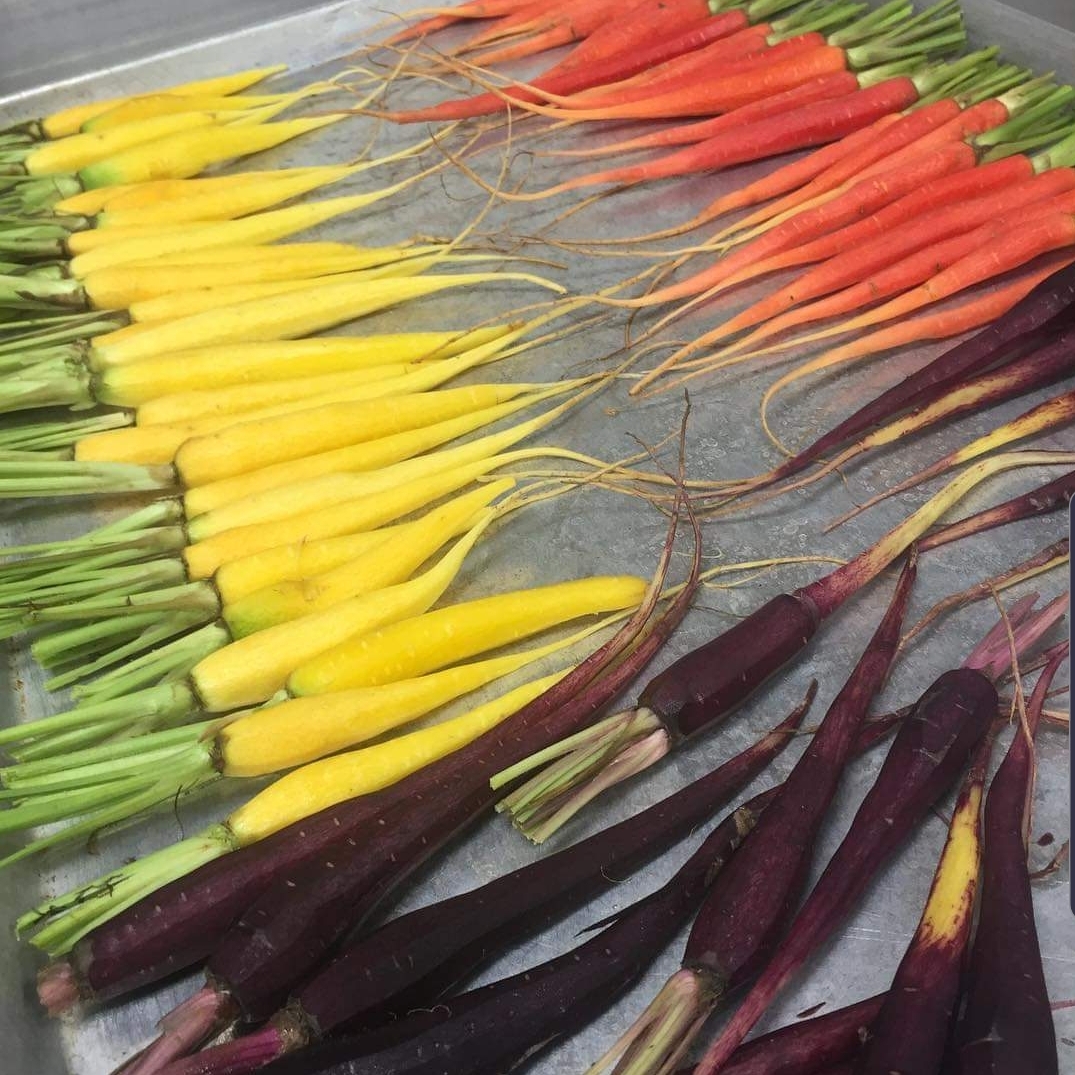 Media | perrone's restaurant & bar